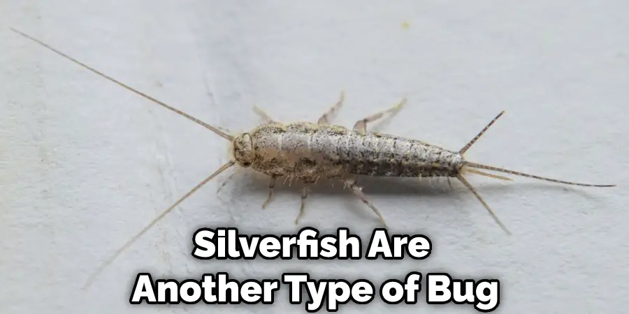 How to Keep Bugs Out of Garage at Night | 15 Ways (2022)