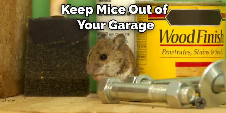 How to Keep Mice Out of Your Garage | Explained in 14 Steps