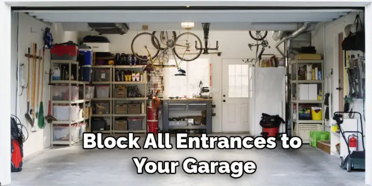 How to Get Rid of Raccoons in Garage | 12 Easy Ways (2025)