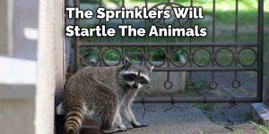 How to Get Rid of Raccoons in Garage | 12 Easy Ways (2025)