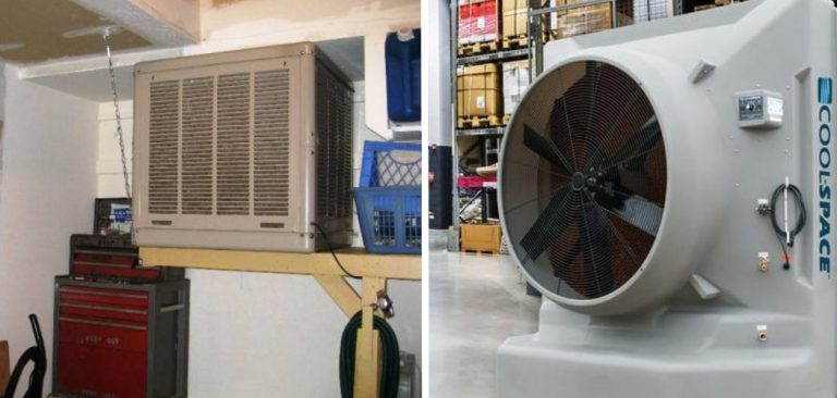 How to Store Coolers in Garage in 18 Effective Steps (2025)