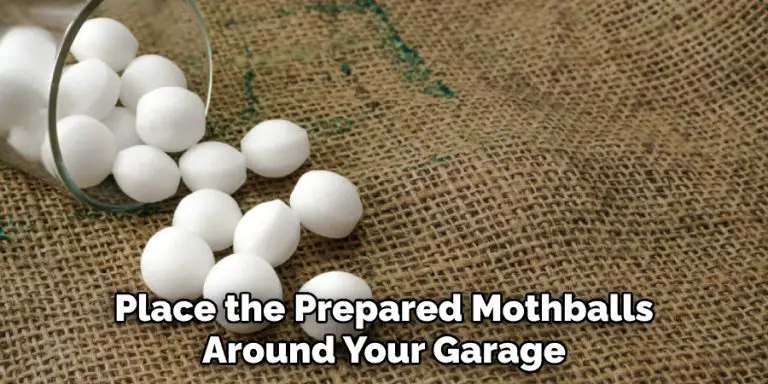 How to Use Mothballs in Garage | 6 Easy Processes (2025)