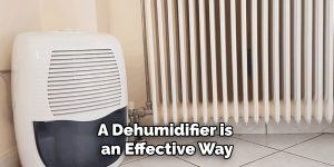 How to Keep Condensation Out of Garage | 10 Easy Methods (2025)